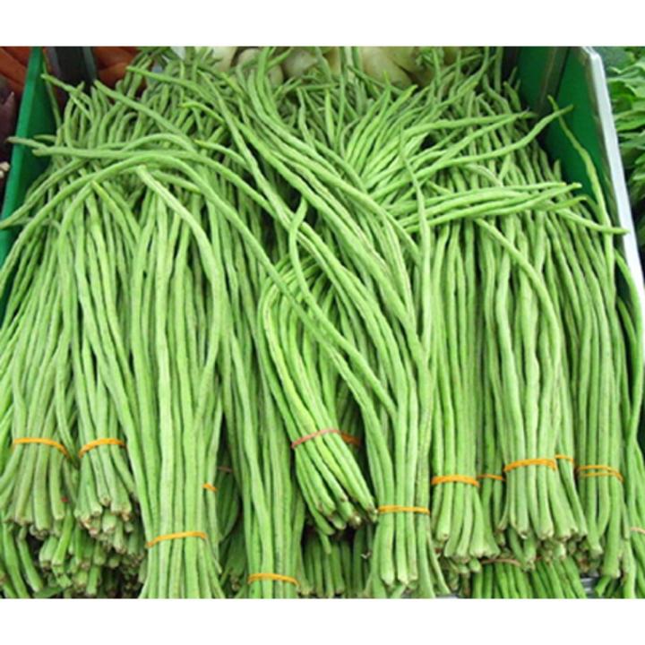 Hybrid Long Borboti Seeds 10+ Seeds Intact packet | Daraz.com.bd