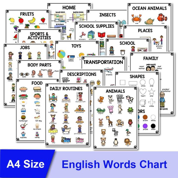 A4 English Words Flashcard Vocabulary Learning Chart Cartoon Pic ...