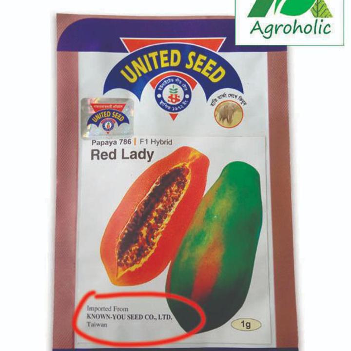 Red Lady papaya Seeds (Imported From Taiwan) - 6 Seeds (Re- Packet ...