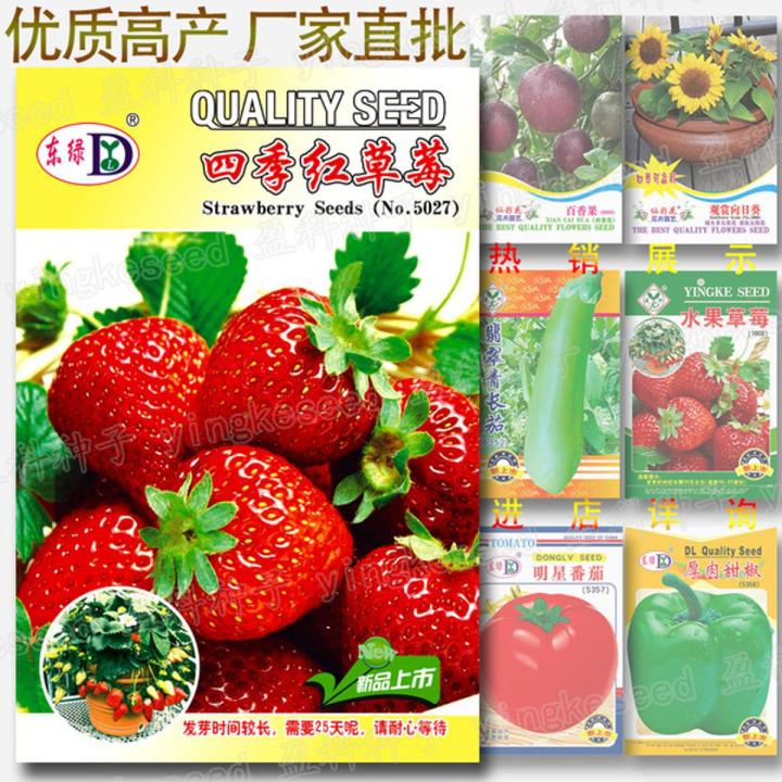 All Season Giant Red Color Global Strawberry Seeds - 200 Seeds (Intack ...
