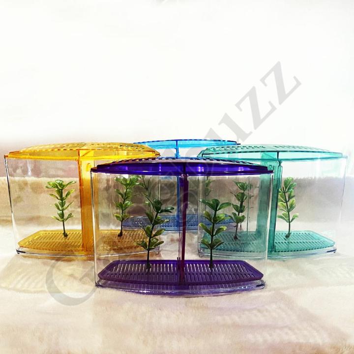 Taiyo Desktop Double Betta Fish Tank - Dual Compartments, Hexagon ...