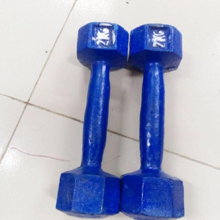 3 kg dumbbell 2 PCS 6KG | Daraz.com.bd