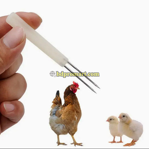 Double Needle for Poultry Chicken Fowl Pox Vaccine Vaccination - Fowl ...
