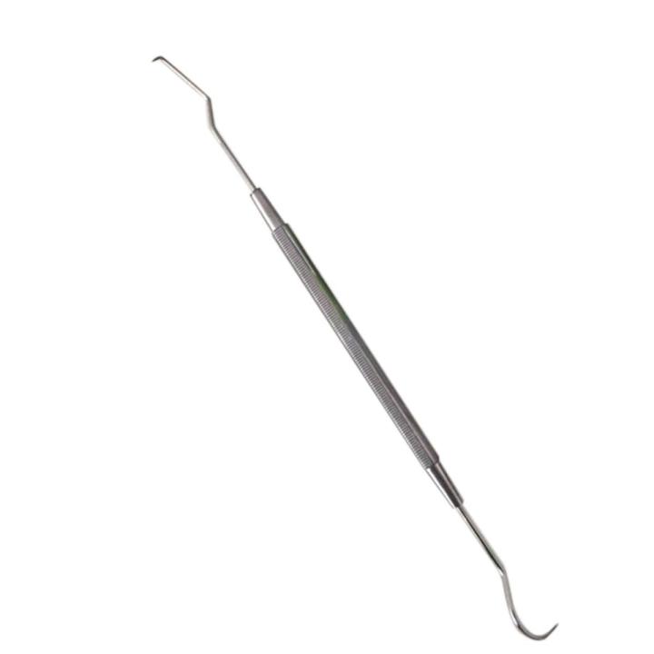 Toothpicks Instruments Dentist Prepared Tools Kit Dental Tools Hygiene ...