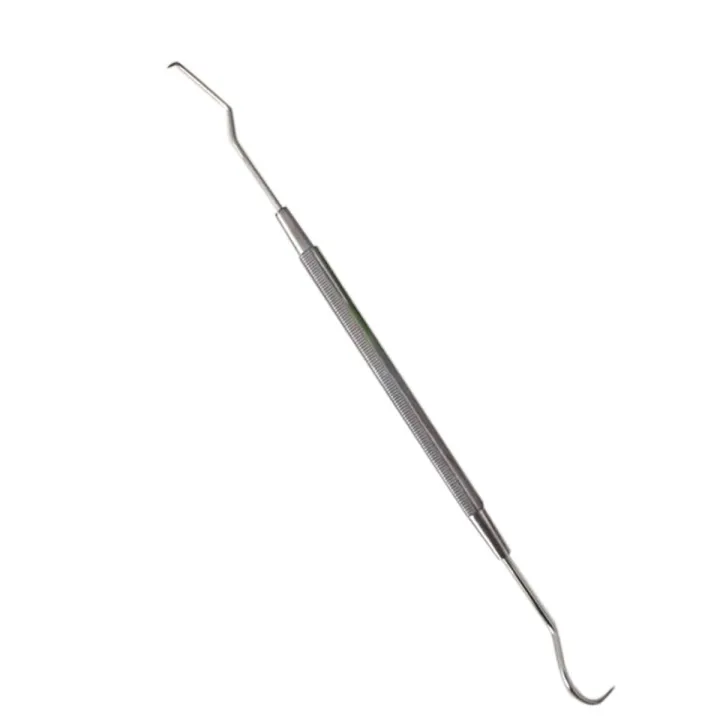 Toothpicks Instruments Dentist Prepared Tools Kit Dental Tools Hygiene ...
