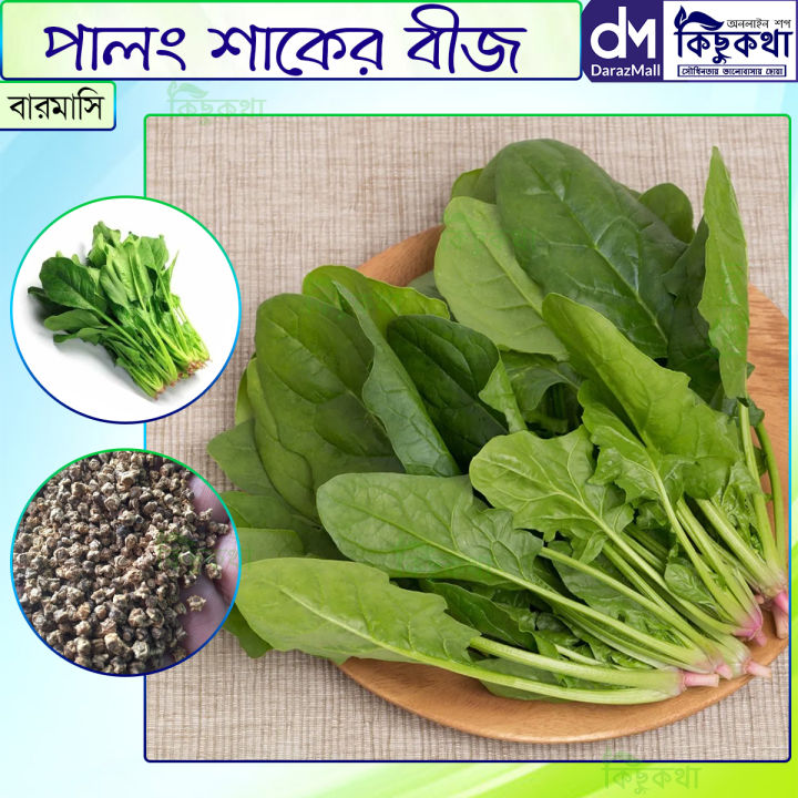 Palong Sak Seed - 12 gm All Season Seed / পালং শাকের বীজ | Daraz.com.bd
