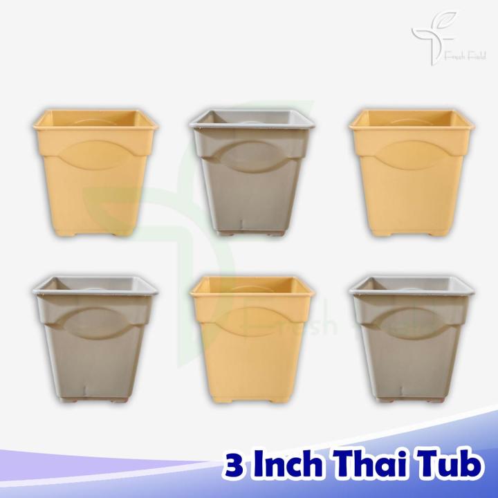 3 Inch Thai Tub -6 Pcs | Daraz.com.bd