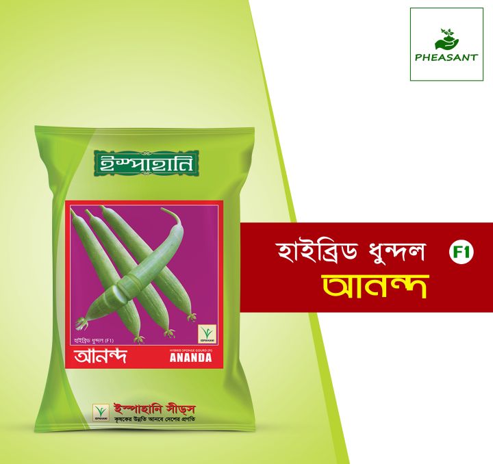 Hybrid (F1) Sponge Gourd Seed (ধুঁদুল) Ananda (Mini Intact Packet ...