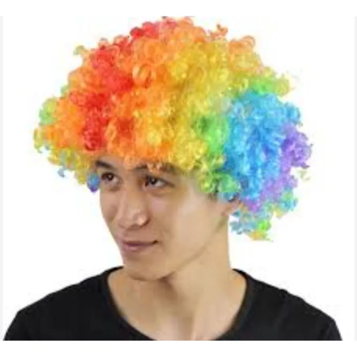 Adult Afro Wig Perfect for clown costume prank wig | Daraz.com.bd