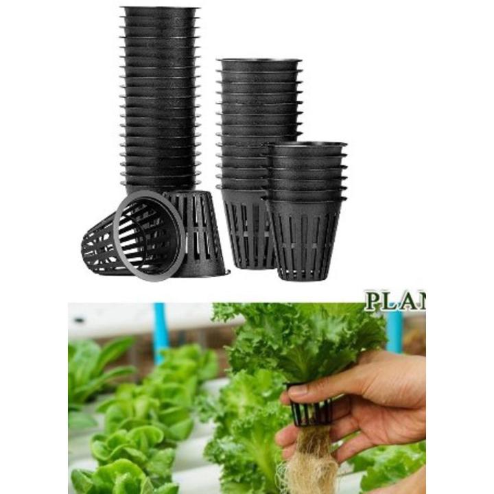 Germination cup-Hydroponic cup 50 pcs | Daraz.com.bd