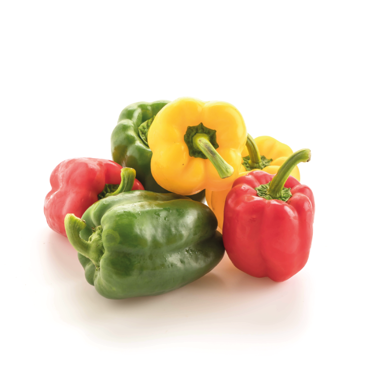 F1 Hybrid 10 Pcs All Season Multi Colour Capsicum Vegetable Seeds +Gift ...