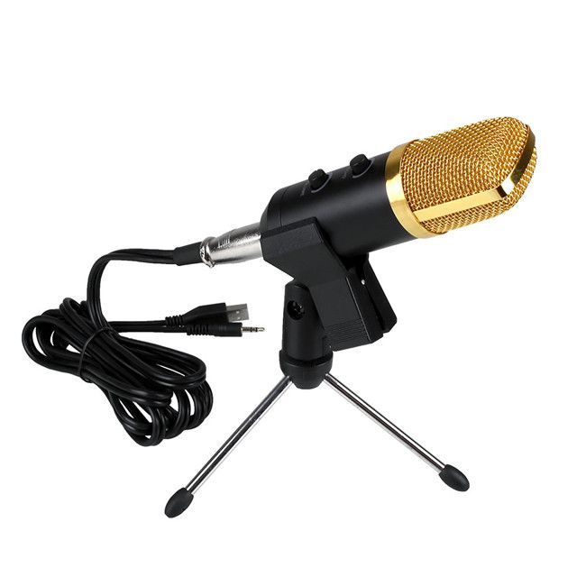 BM-100FX Condenser Microphone | Daraz.com.bd