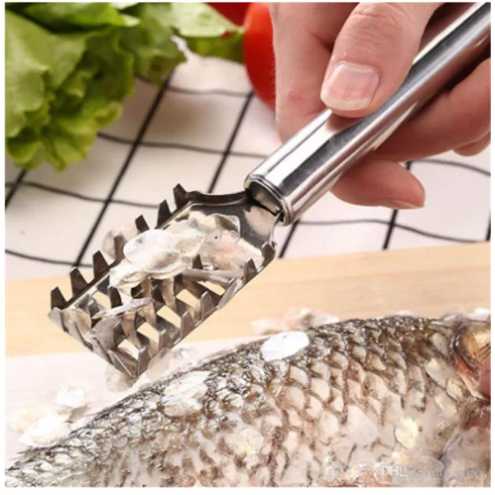 Stainless Steel Fish Scale Cleaner | Daraz.com.bd