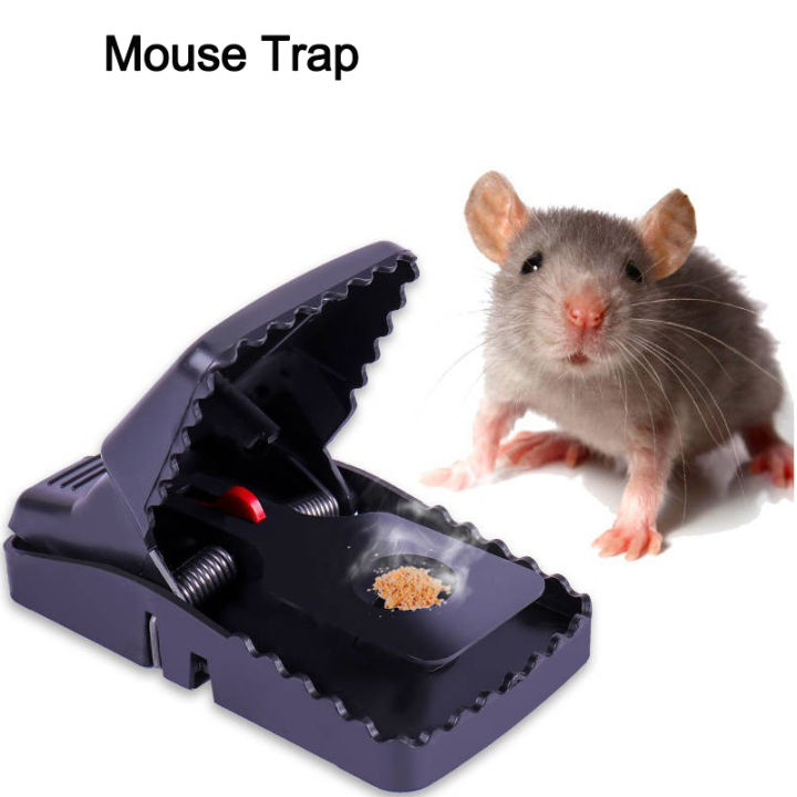 easyTRAP Cat-Cha Mouse Trap | Daraz.com.bd
