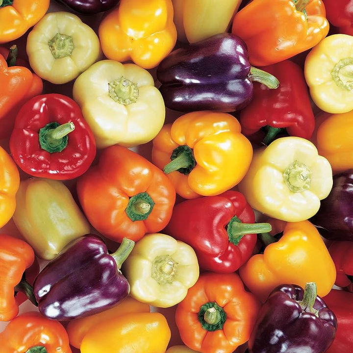 Multiple Capsicum Seeds 42 Pices | Daraz.com.bd