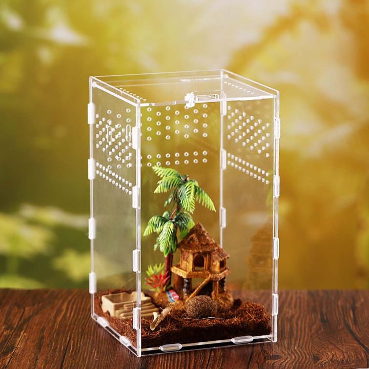 Spider Frogs Feeding Box Hatcher Container Snakes Reptile Incubator ...