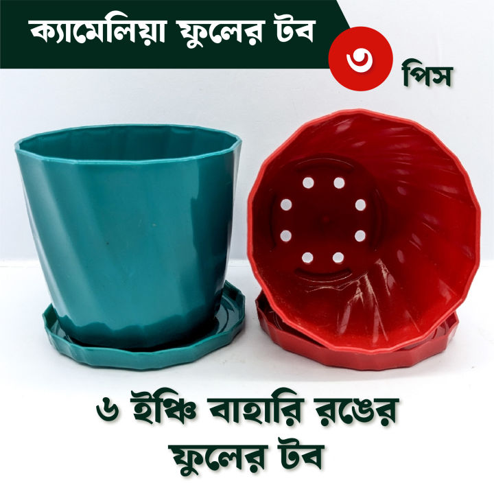 Nifty Niche - 6 inch plastic flower tub 3 pieces combo pack. Camellia ...