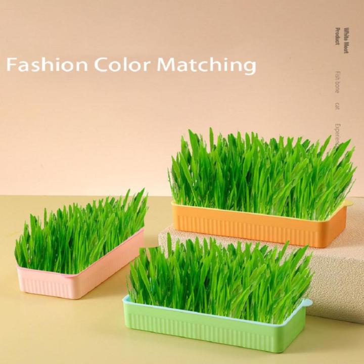 【Sleek】 Pet Cat Sprout Growing Pot Hydroponic Cat Grass Digestion ...