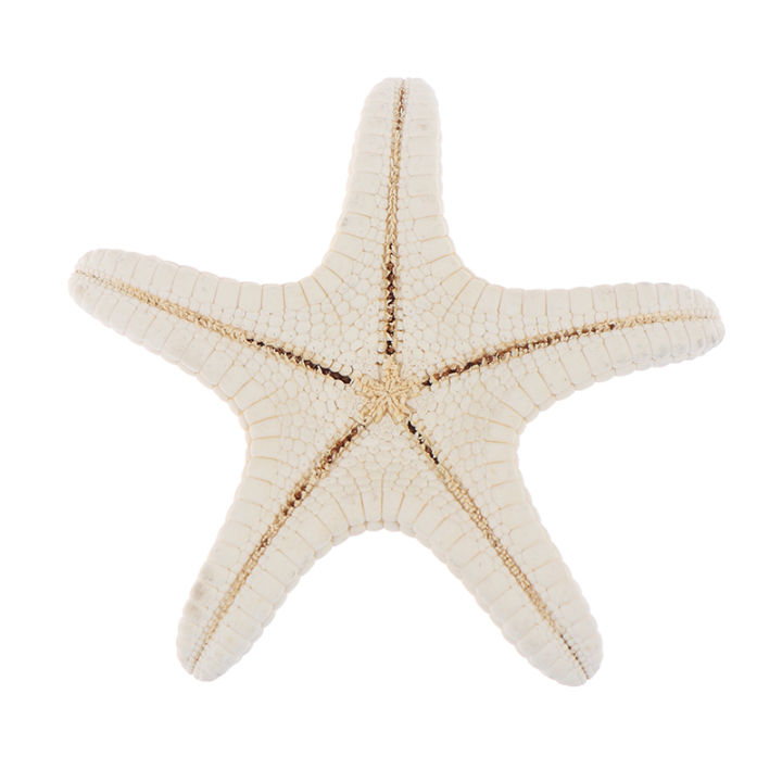 【Latest Style】 Starfish Crafts Decor Starfish DIY Sea Fish Party Beige ...