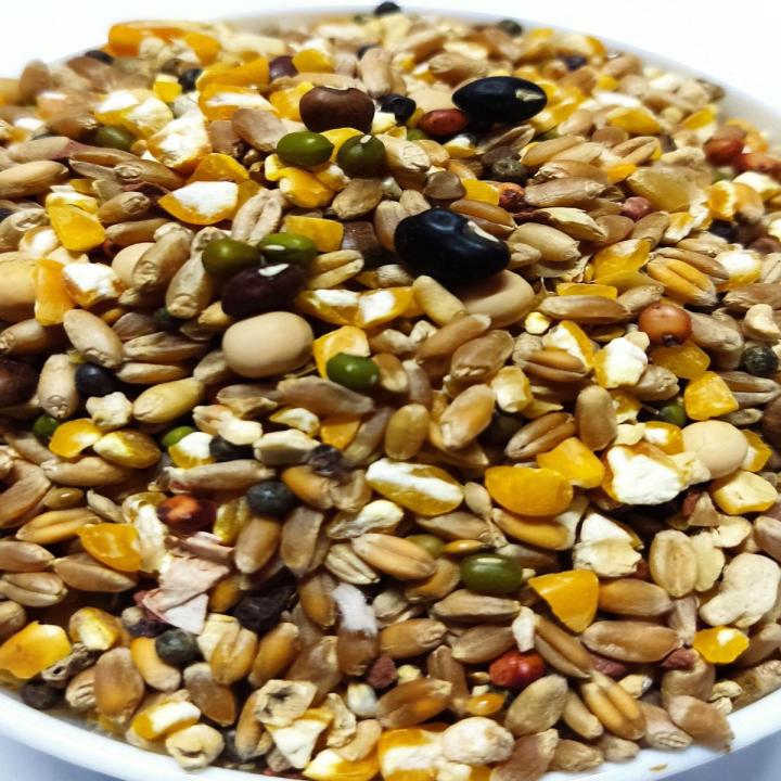 Pigeon (Kobutor) Premium Mixed Food - 1 kg | Daraz.com.bd