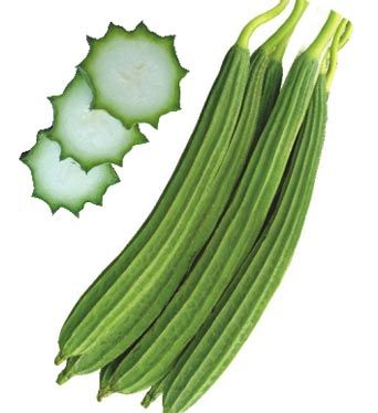 Hybrid Sponge Gourd JHINGA Seeds বারমাসিঝিংগা -10 Pcs | Daraz.com.bd