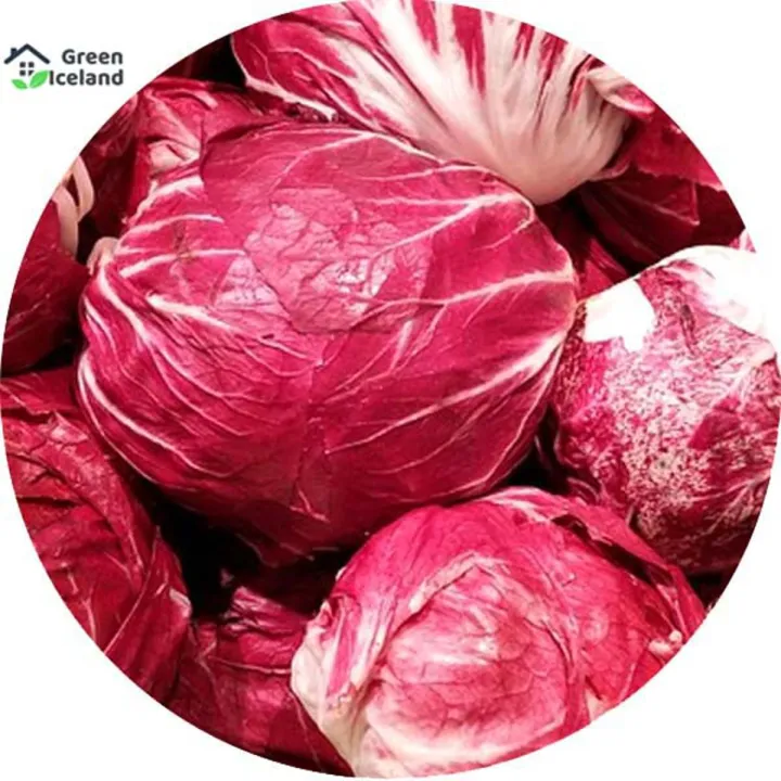 20 Pcs Organic Red Cabbage Seeds (??? ??????? ???) | Daraz.com.bd