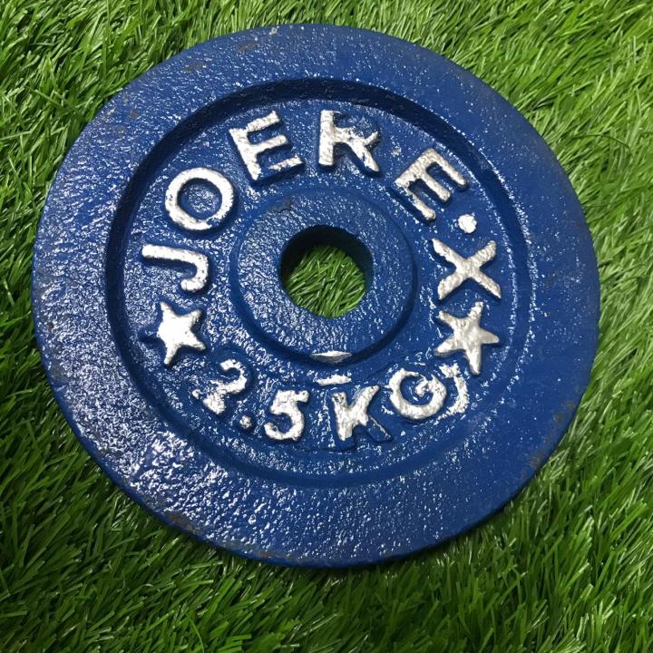 Dumbbell Plate 2.5Kg For Exercise - Blue | Daraz.com.bd