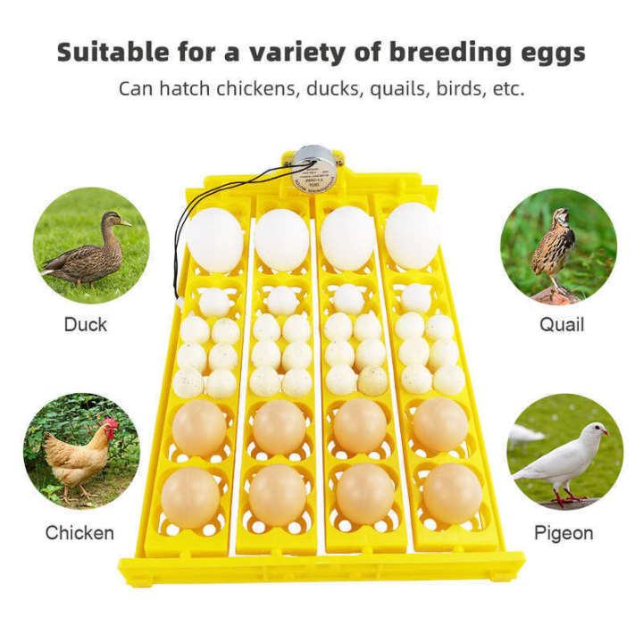 104 Quail Incubator Turner Automatical Turn Eggs Tray Incubation ...
