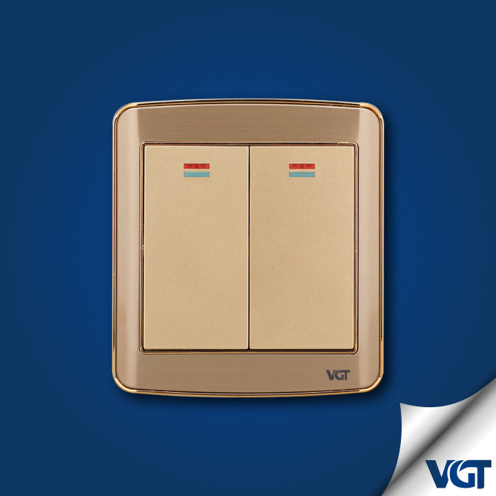 VGT - 2 Gang 1 Way Switch (Golden Series) | Daraz.com.bd