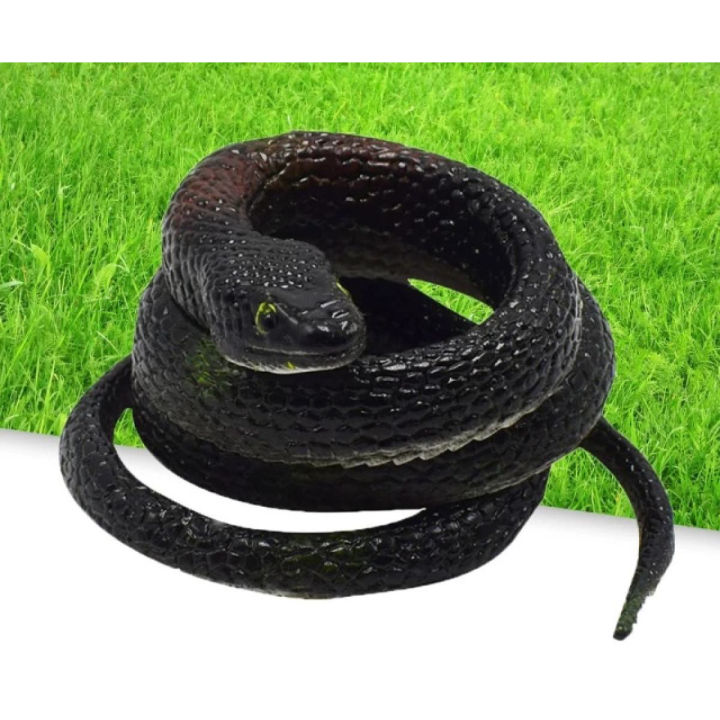 New Rubber Snake Toy for kids | Daraz.com.bd
