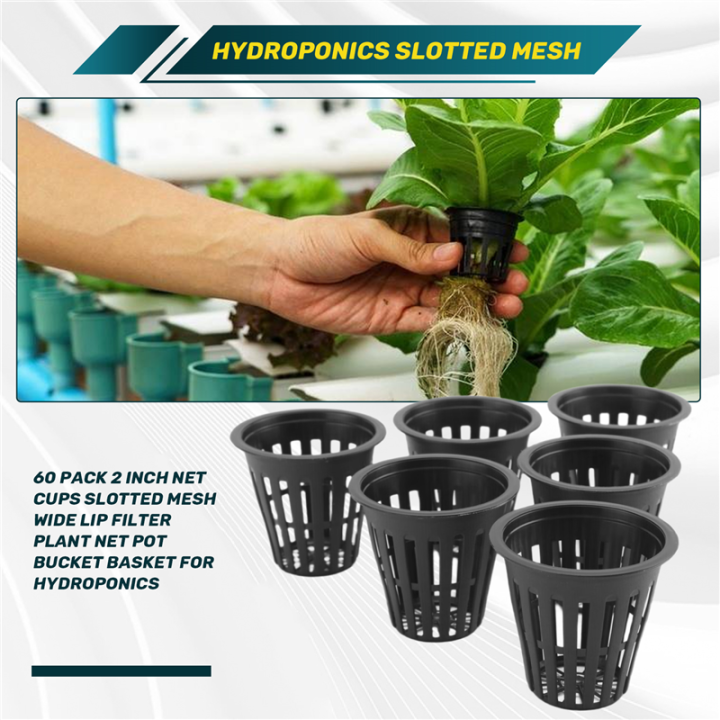 60 Pack 2 Inch Slotted Mesh Wide Lip Plant Net Basket for Hydroponics ...