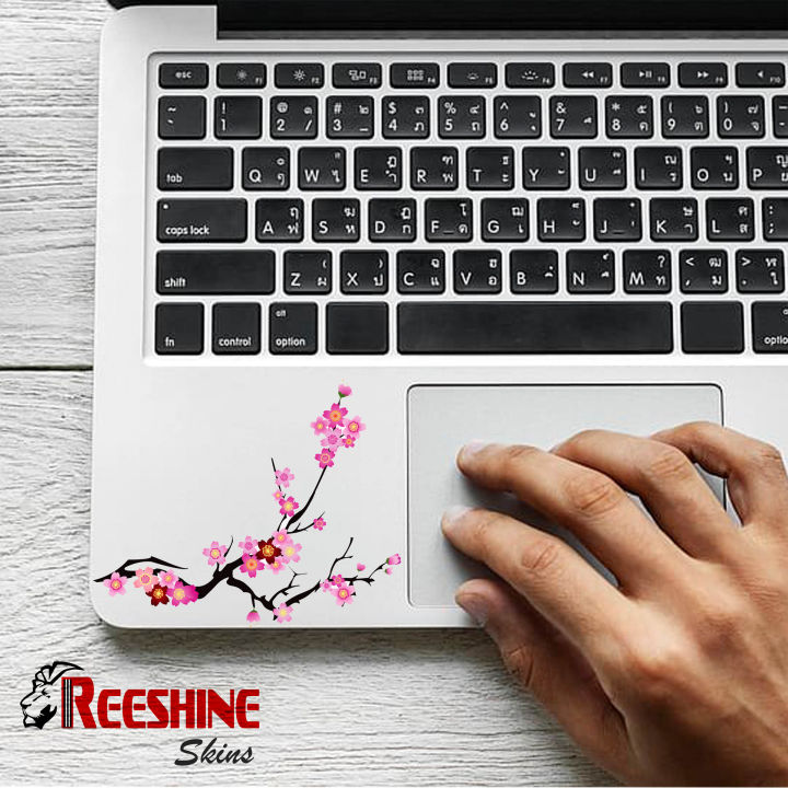 Laptop Trackpad Sticker (15.6,14,13.6 inches) | Daraz.lk