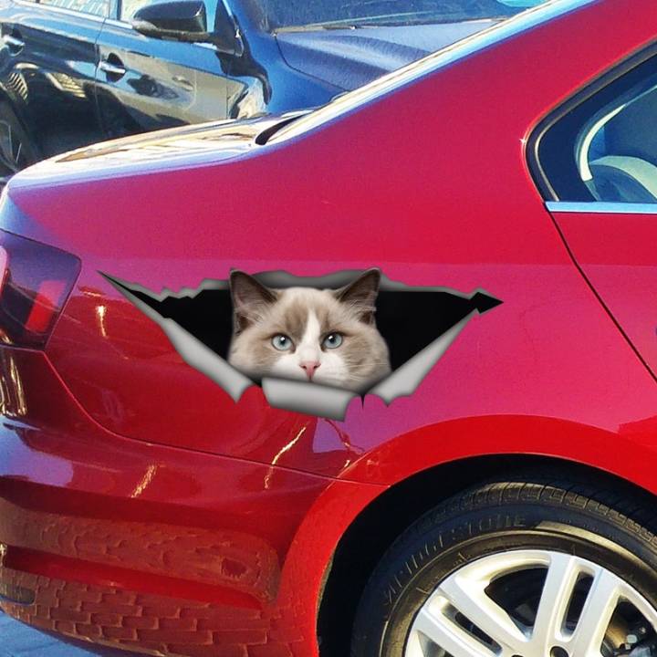 Cute cat car decal, Ragdoll car decal, Ragdoll cat magnet | Daraz.lk