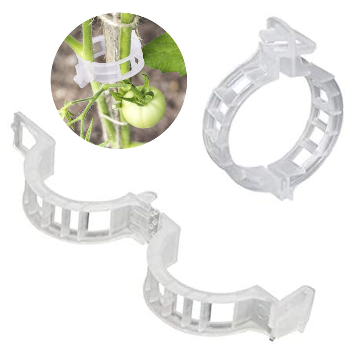 Garden Tomato Trellis Clips Perfect for Tomatoes, Cucumbers, Peppers ...