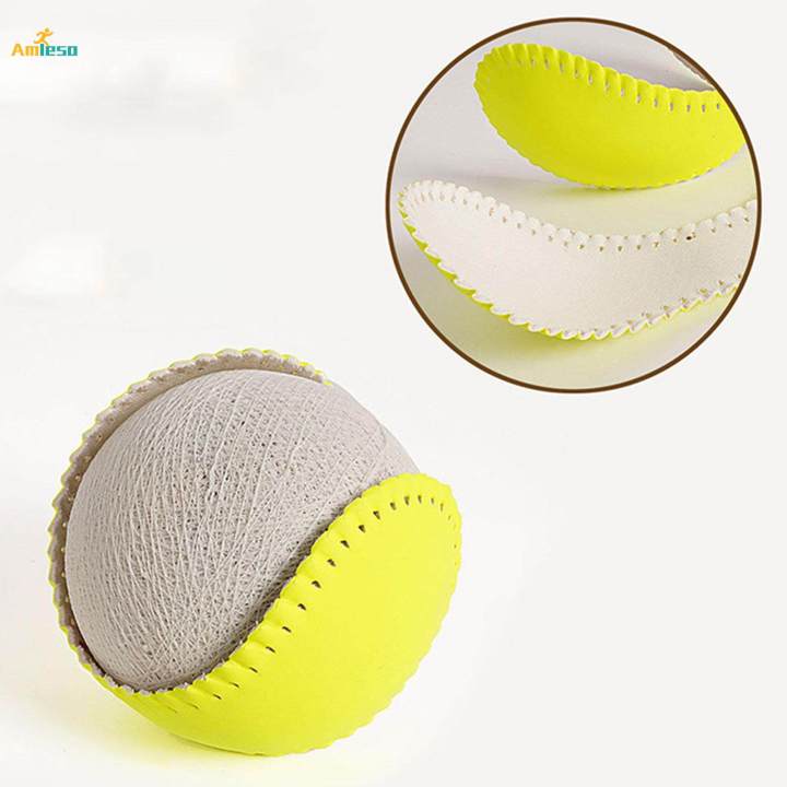 Sports Practice Softballs Accessories Unmarked Softball Ball for ...