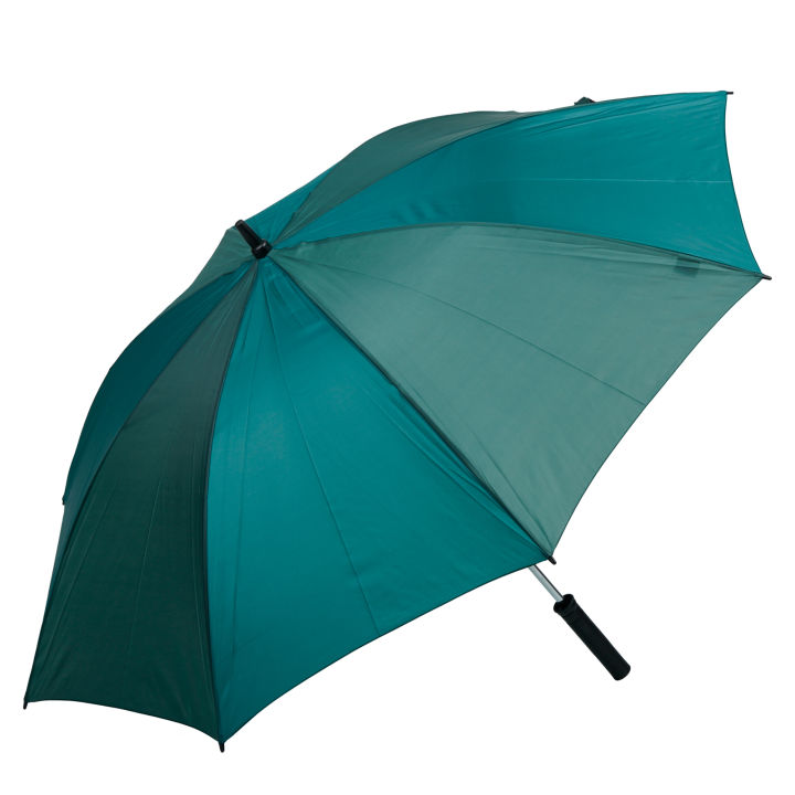 Rainco - Gents umbrella - multi 30 - CP2583 - Colours can be changed ...