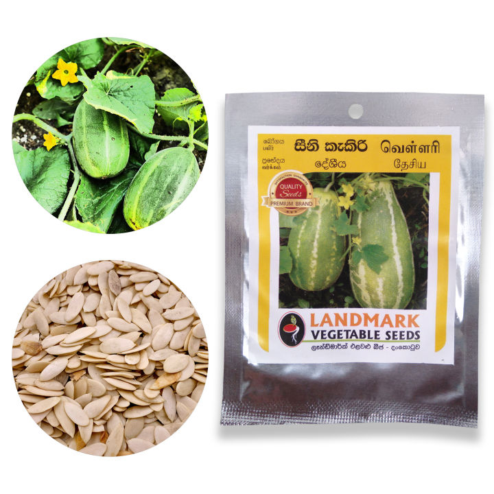 Cooking Melon Seeds Seeni Kakiri Beeja 1g | Daraz.lk