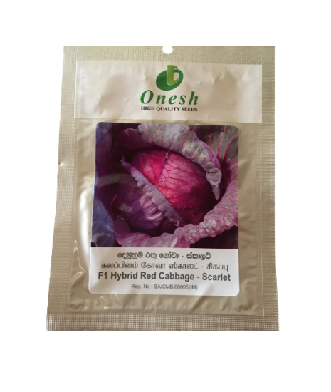Red Cabbage F1 hybrid Seeds Scarlet Gardening Agriculture Onesh Seeds ...