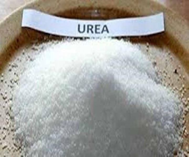 urea Fertilizer for Home Gardening යූරියා පොහොර N 46% All Plant High ...