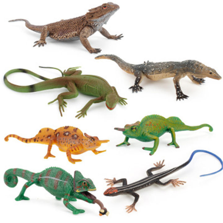 Amphibian Animals Model Sets Lizard Chameleon Plastic Action Figures ...