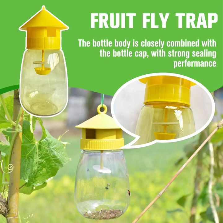 Gentlemange Plastic Fruit Fly Trap Killer Drosophila Trap Anti Fly ...