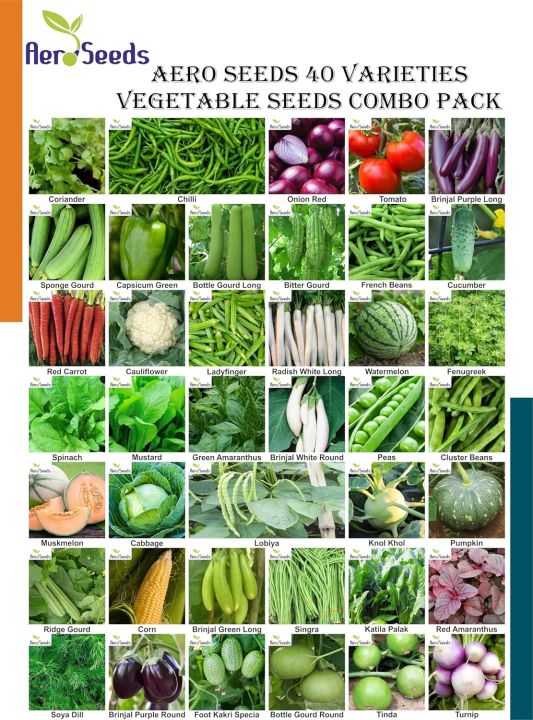 Aero Seeds Combo of 40 varieties vegetable seeds with instruction ...