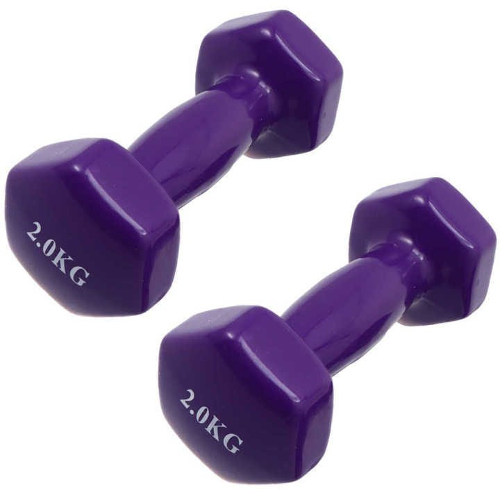 Fixed Weight Dumbbells 2 KG / Dumbbells/ weight equipment (01 pc ...