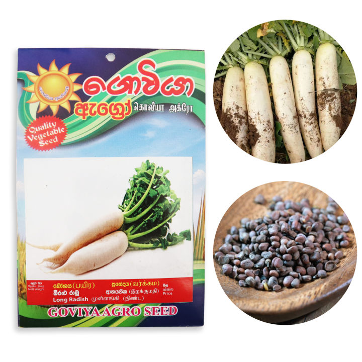 Long Radish Seeds Beeralu Raabu Beeja රාබු බීජ 10g Home Gardening ...