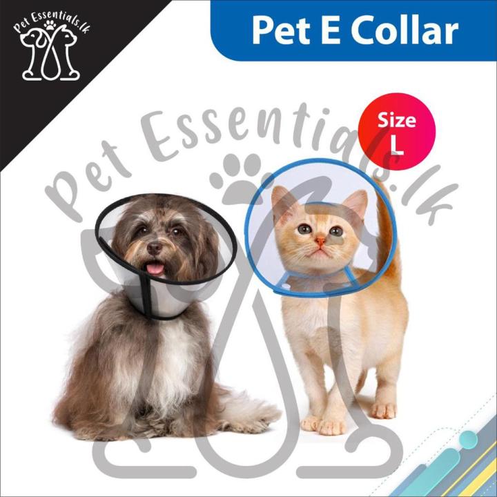 E Collars For Cat & Dog ( Large ) | Daraz.lk