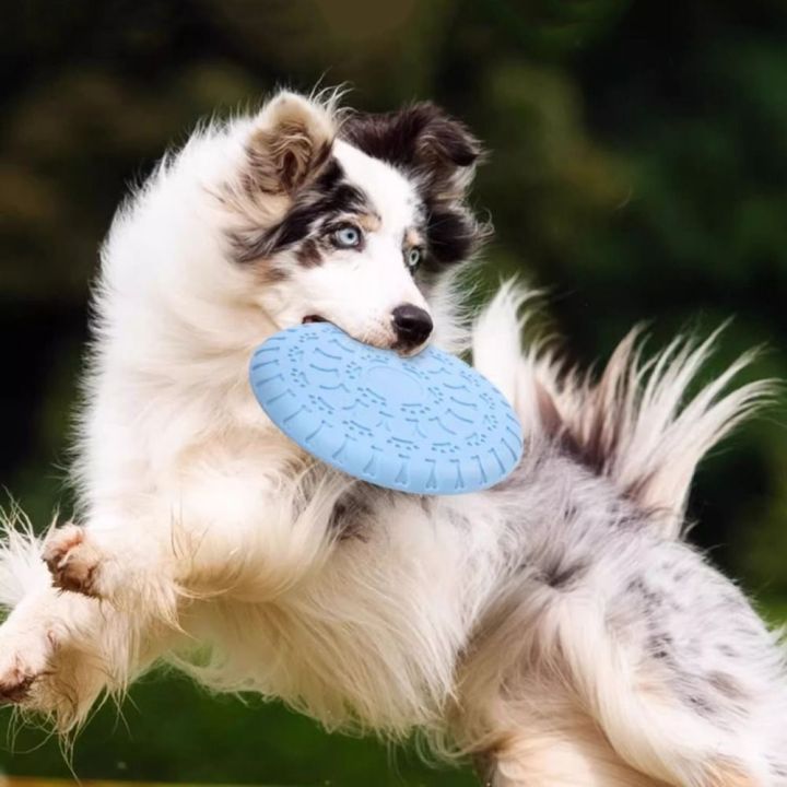 Durable Bite Resistant Dog Flying Disc Soft Rubber Dog Training ...