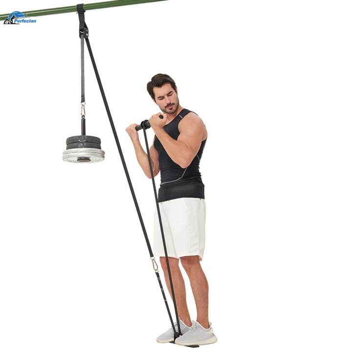 Forearm Wrist Set Pull Downs Chest Arm Barbell Plate Weight Bearing ...