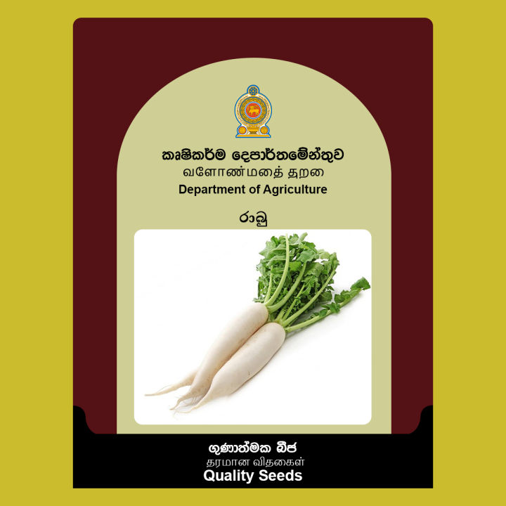 Radish Beeralu Quality Seeds - 5g | Daraz.lk