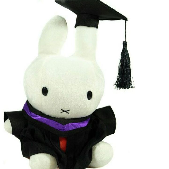 Graduation Bunny | Daraz.lk: Buy Online at Best Prices in Srilanka ...