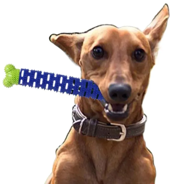 Chewbrush™ Dog Teeth Cleaning Tooth cbgd brush Toys DENTAL Self ...